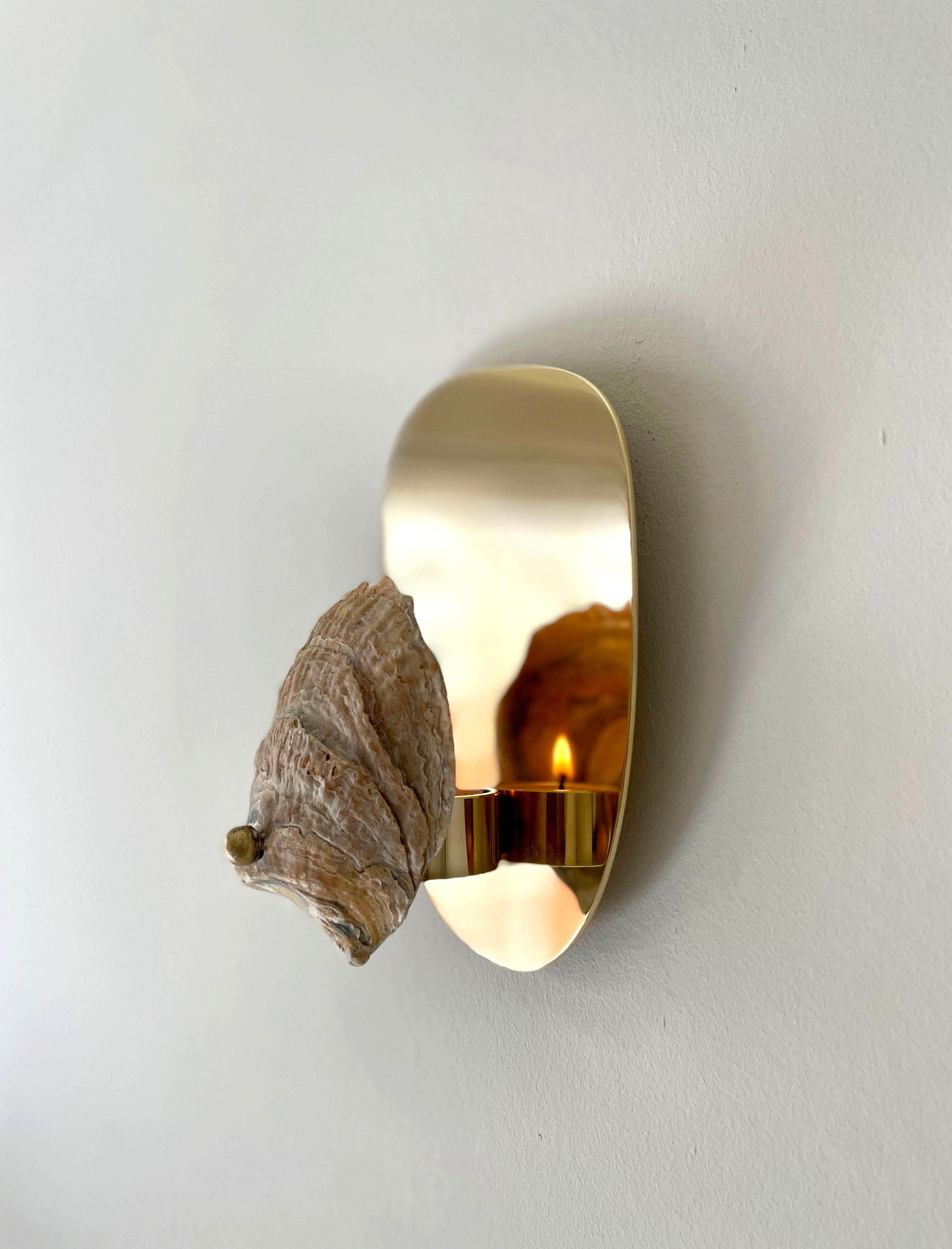 Norfolk Scallop Shell and Brass Wall Sconce – The Merchant's Table