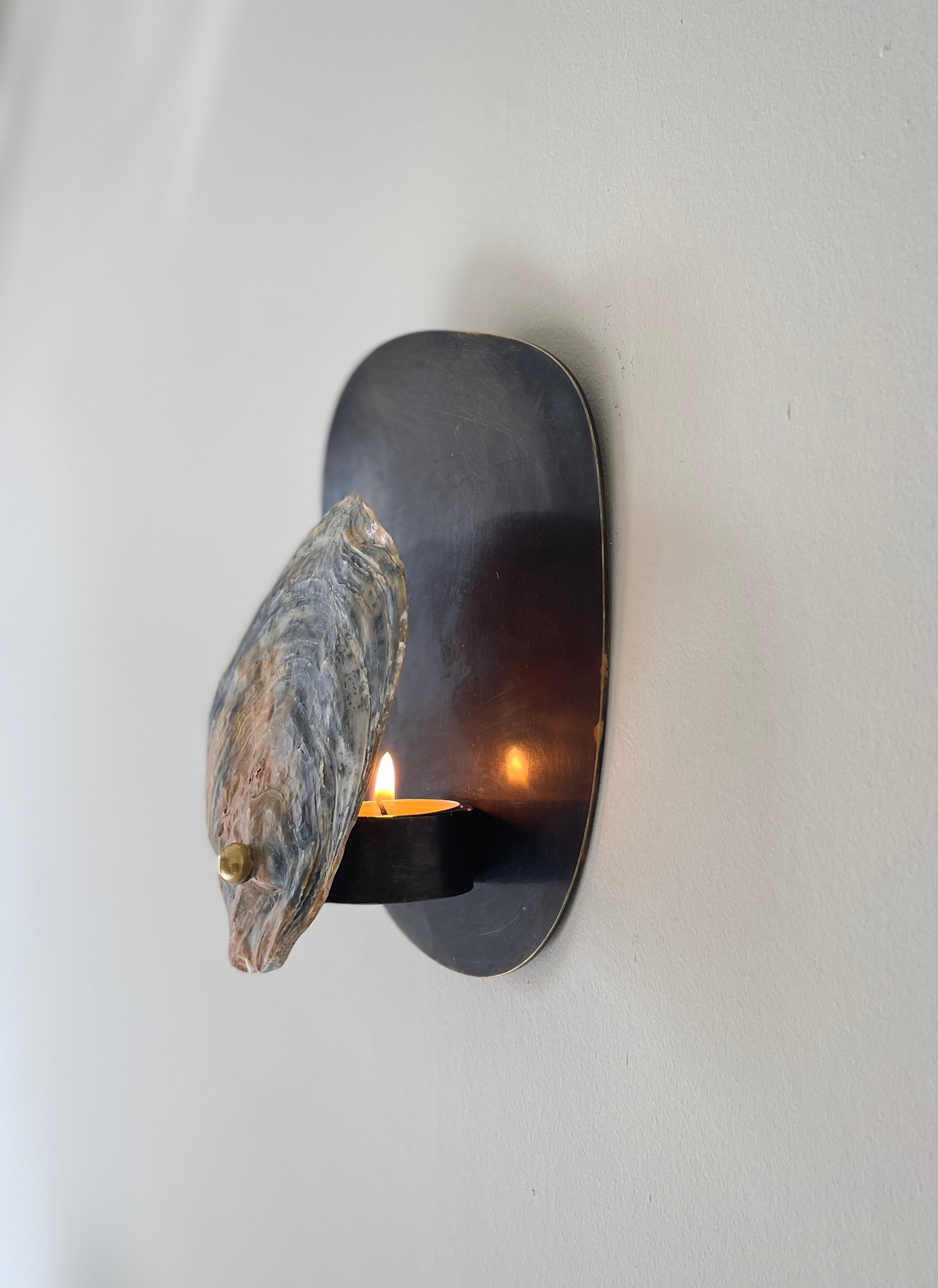 Norfolk Scallop Shell and Brass Wall Sconce – The Merchant's Table