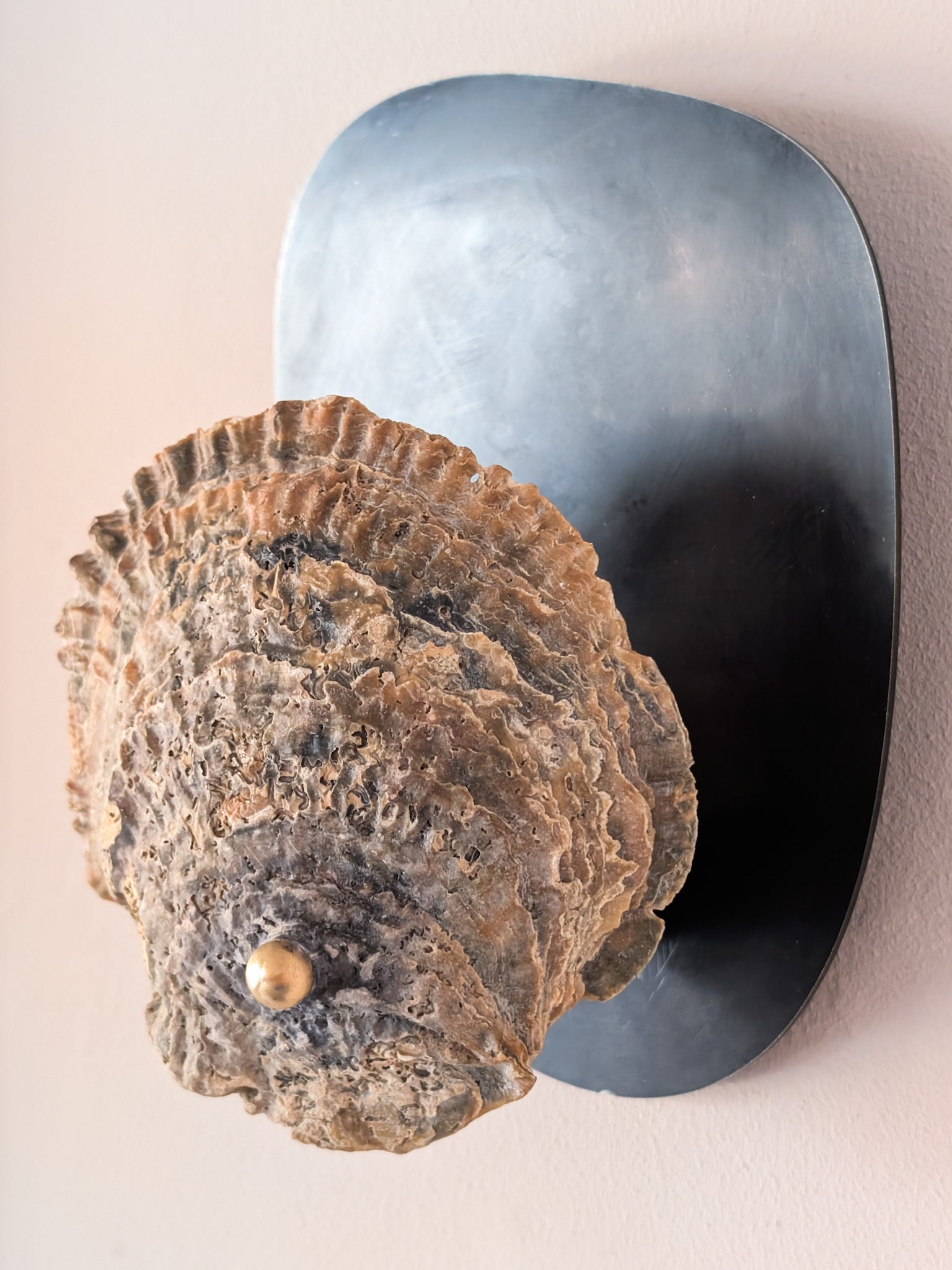 Norfolk Scallop Shell and Brass Wall Sconce – The Merchant's Table