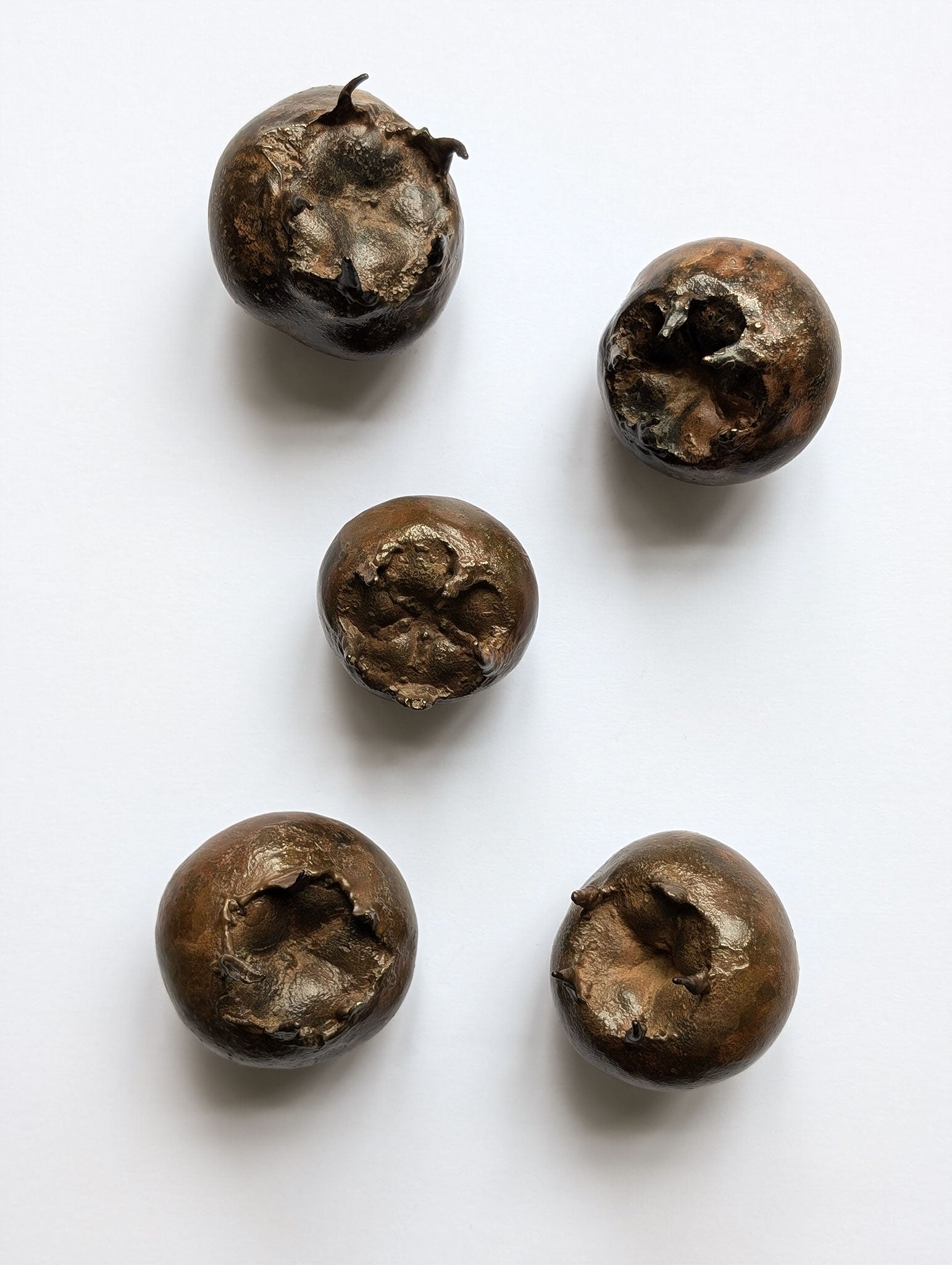 Bronze Medlars – The Merchant's Table