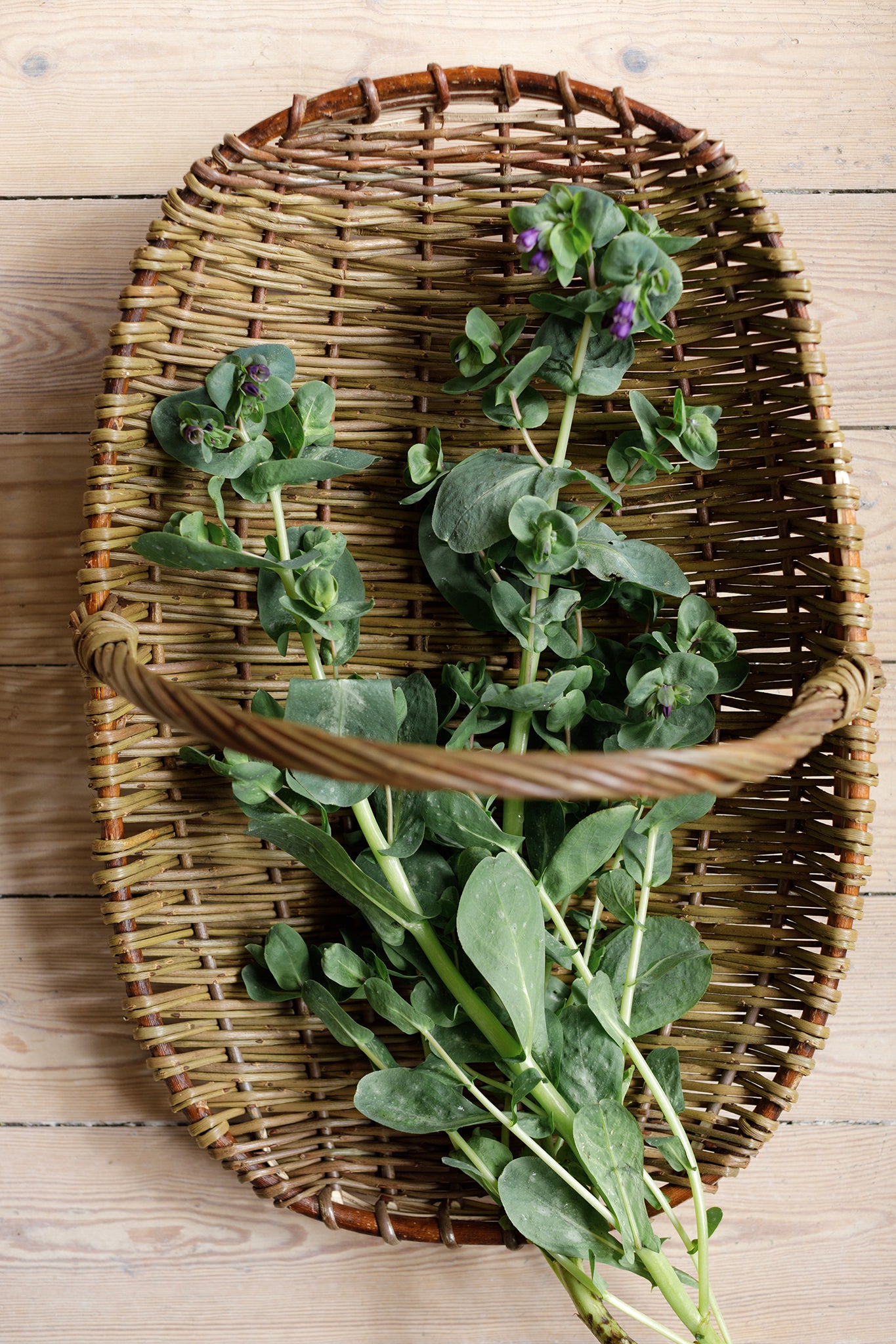 Willow Trugs – The Merchant's Table