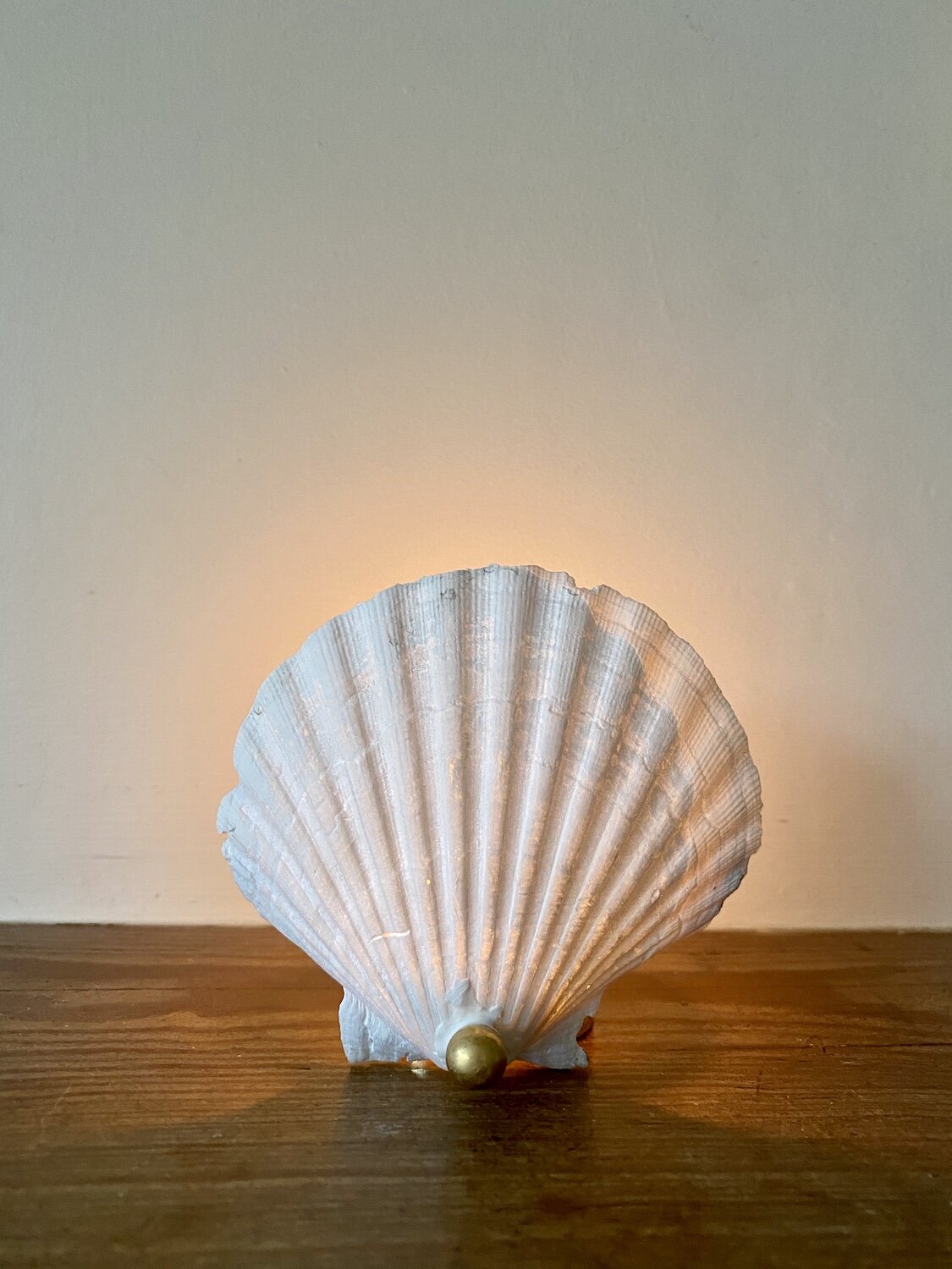 Scallop Shell Tealight – The Merchant's Table